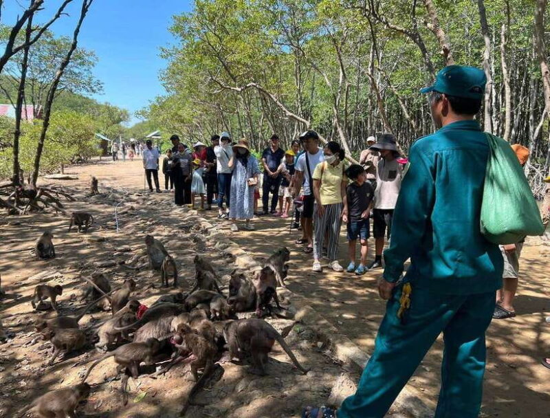 Ho Chi Minh City: Can Gio Monkey Island Day Trip with Lunch - Key Points