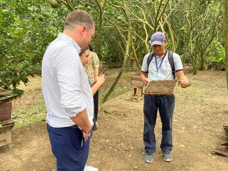 Ho Chi Minh City: Exploring The Flavors Of The Mekong Delta - Final Thoughts: Is It Worth It?