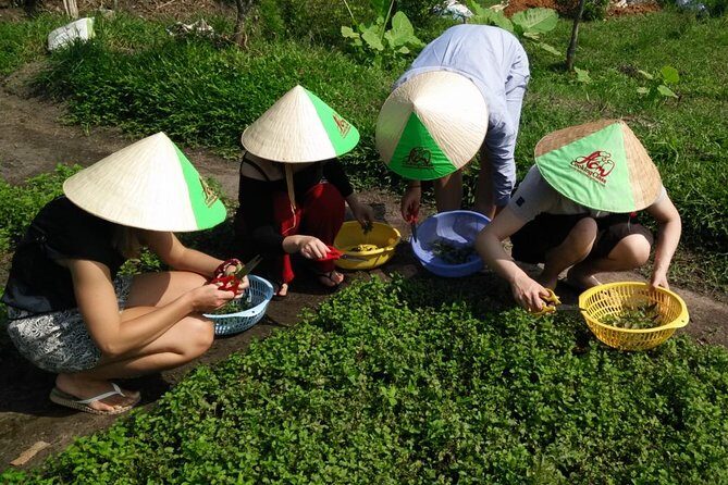 Ho Chi Minh City Full-Day Cooking Class with City Tour - An In-Depth Look at the Itinerary