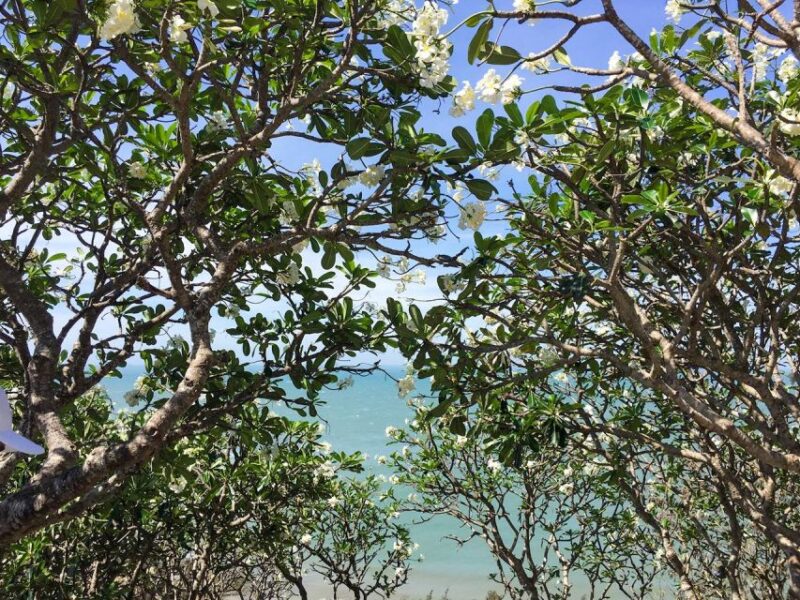 Ho Chi Minh City: Full-day Vung Tau Coastal Escape - FAQ