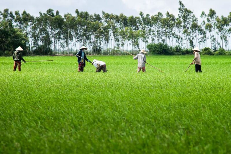 Ho Chi Minh City: Mekong Delta Full-Day Speedboat Tour - The Sum Up: Who Should Consider This Tour?