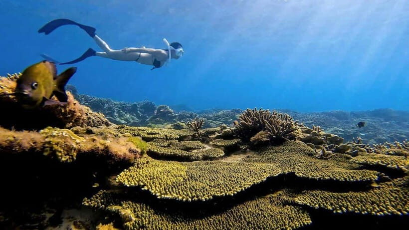 Ho Chi Minh City: Phu Quy Island 2-Day Tour with Meals - An In-Depth Look at the Phu Quy Island 2-Day Tour