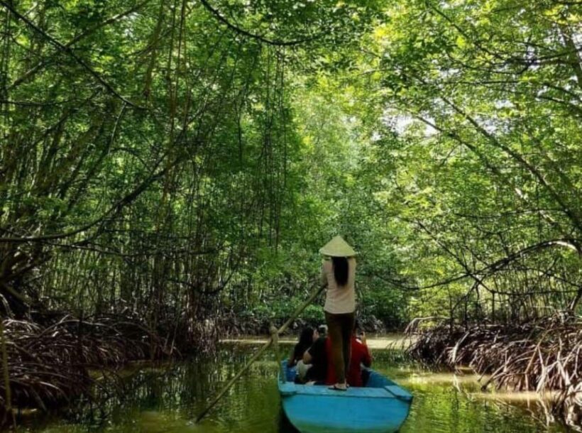 Ho Chi Minh: Eco Tour to Can Gio Mangrove Forest PVT and SIC - Who Should Consider This Tour?