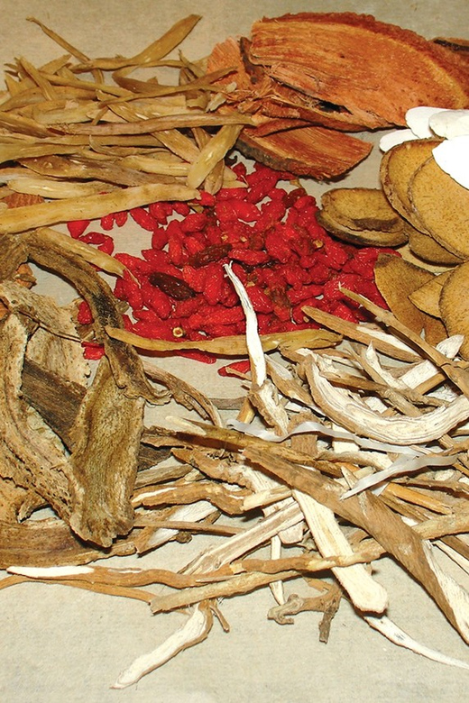 Ho Chi Minh: Fito Museum Admission Ticket - Why This Tour Offers Real Value