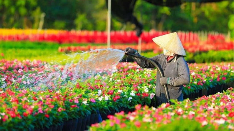 Ho Chi Minh: Floating Market & Bird Sanctuary 2-Day Trip - FAQ