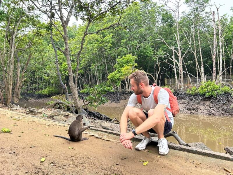 Ho Chi Minh: Private Can Gio Mangrove Forest 1 Day Tour - An Overview of the Can Gio Mangrove Forest Tour