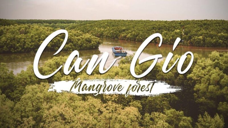 Ho Chi Minh: Private Can Gio Mangrove Forest 1 Day Tour - What Sets This Tour Apart