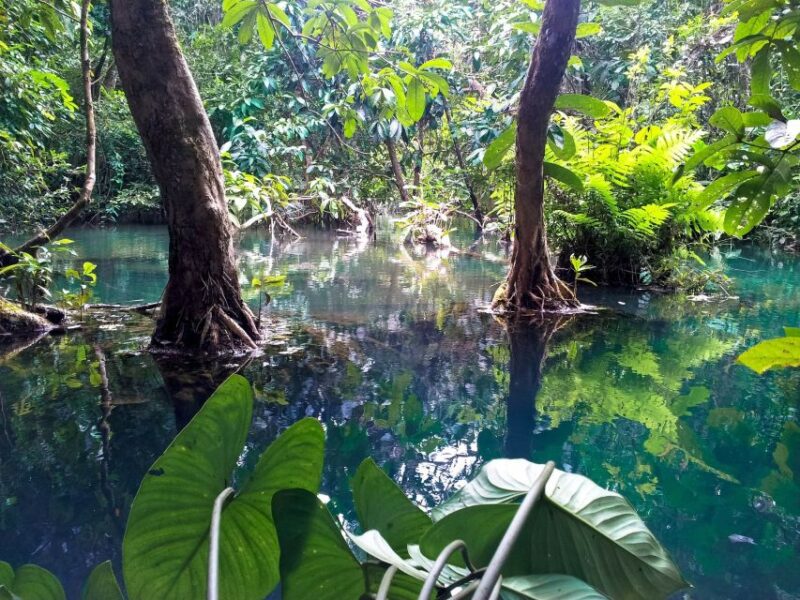 Ho Chi Minh: Private Can Gio Mangrove Forest Day Tour - FAQ