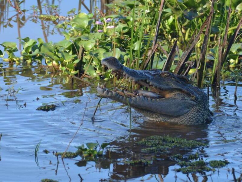 Ho Chi Minh to Cat Tien National Park  Dalat (3 days) - Day 2: Biking, Trekking, and Crocodile Lake
