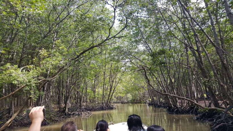 Ho Chi Minh:Can Gio Mangrove Forest w Guide Picked at hotel - Key Points