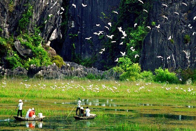 Hoa Lu and Tam Coc - Ninh Binh Day Tour - Scenic Drive to Tam Coc and Lunch