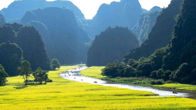 Hoa Lu Tam Coc Mua Cave: Full-Day Adventure Tour - Authentic Experiences and Reviews