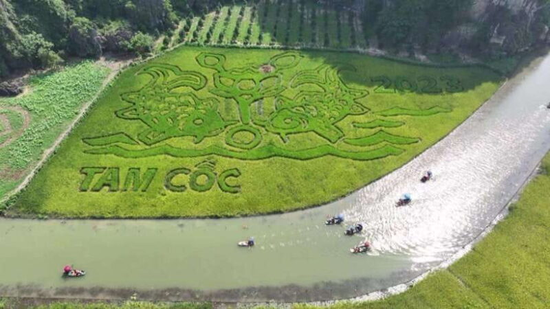 Hoa Lu Tam Coc Mua Cave: Full-Day Adventure Tour - Final Thoughts: Is It Worth It?