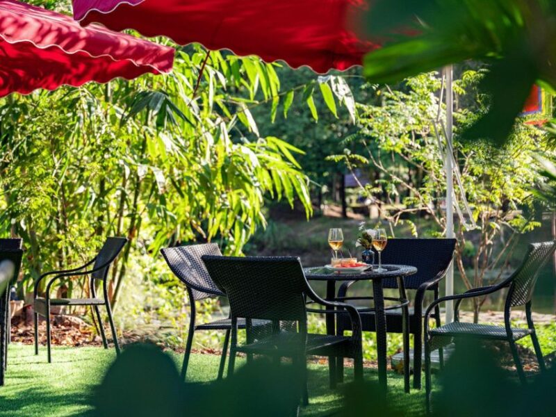 Hoa Lu - Tam Coc - Mua Cave / Limousine Transfer - Exploring the Itinerary: What Makes Each Stop Special