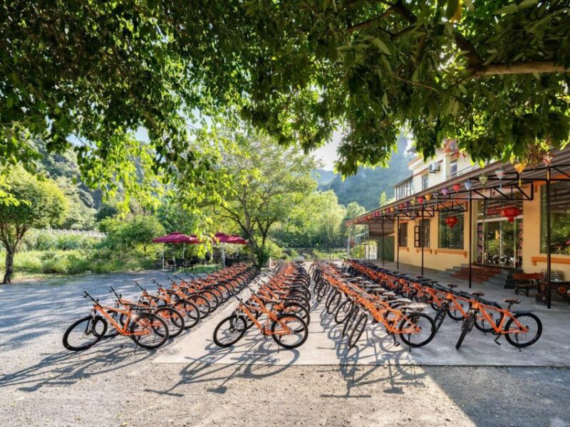 Hoa Lu - Tam Coc - Mua Cave / Limousine Transfer - Authentic Experiences and Highlights from Reviews