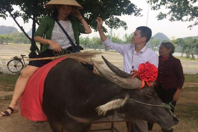 Hoa Lu & Tam Coc & Mua Cave Tour [Japanese guide, limousine bus, small boat boarding fee, lunch included] - The Sum Up: The Bottom Line