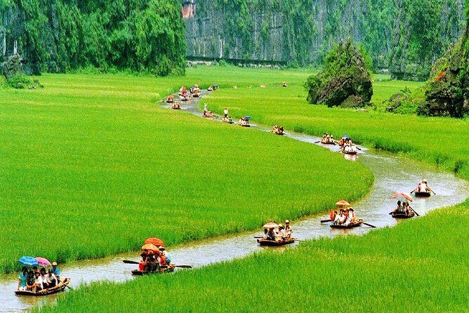 Hoa Lu- Tam Coc -Ninh Binh 1 day by Limousine bus small group - The Sum Up
