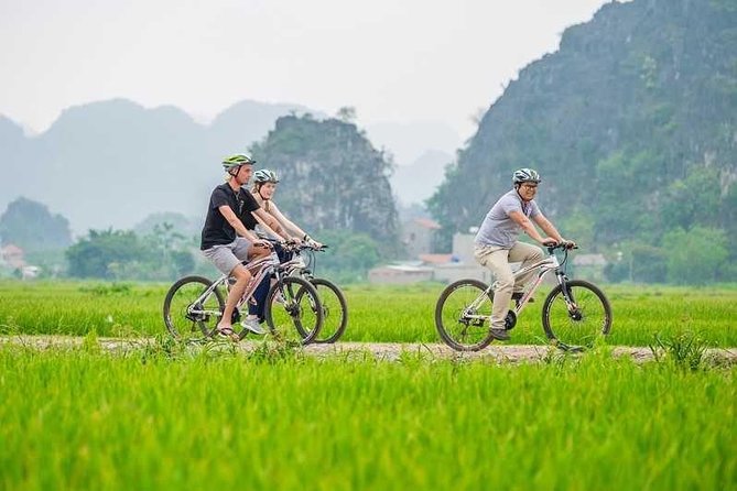 Hoa Lu Tamcoc 1 day trip - Who Would Love This Tour?