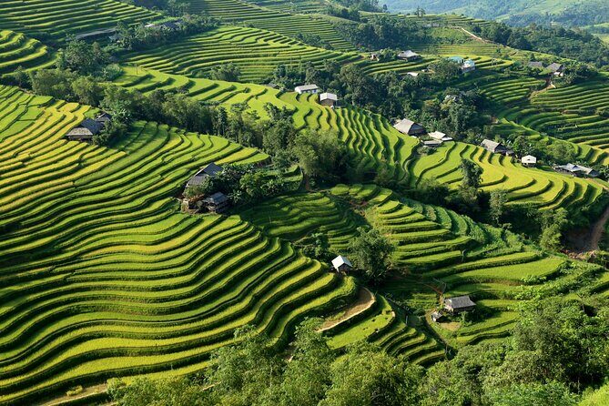 Hoang Su Phi Trekking Tour 3 days 2 nights - Introduction