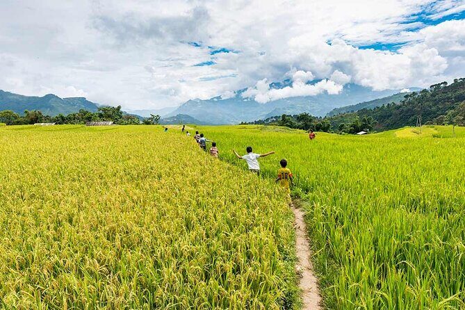 Hoang Su Phi Trekking Tour 3 days 2 nights - The Authentic Touch: Reviews and Feedback