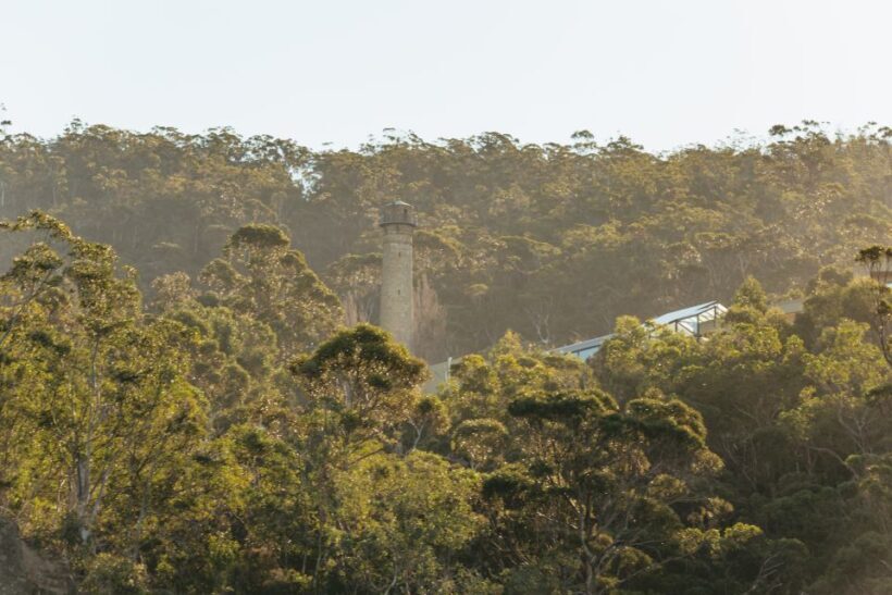 Hobart: 2.5-hour Iron Pot Lighthouse Cruise - Who Will Love This Tour?