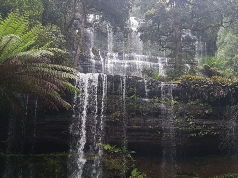 Hobart: 4 Day Wild Tasmania Tour - Accommodation and Comfort