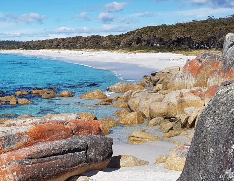 Hobart: 4 Day Wild Tasmania Tour - Practical Considerations