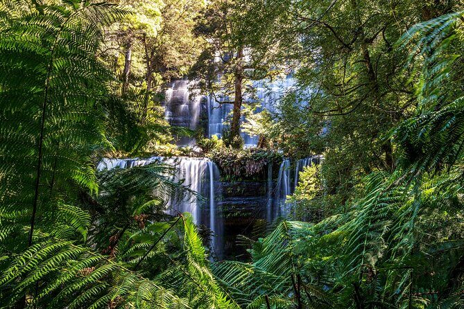 Hobart Adventurer Day Tour | Amazing Views & Native Wildlife - Key Points
