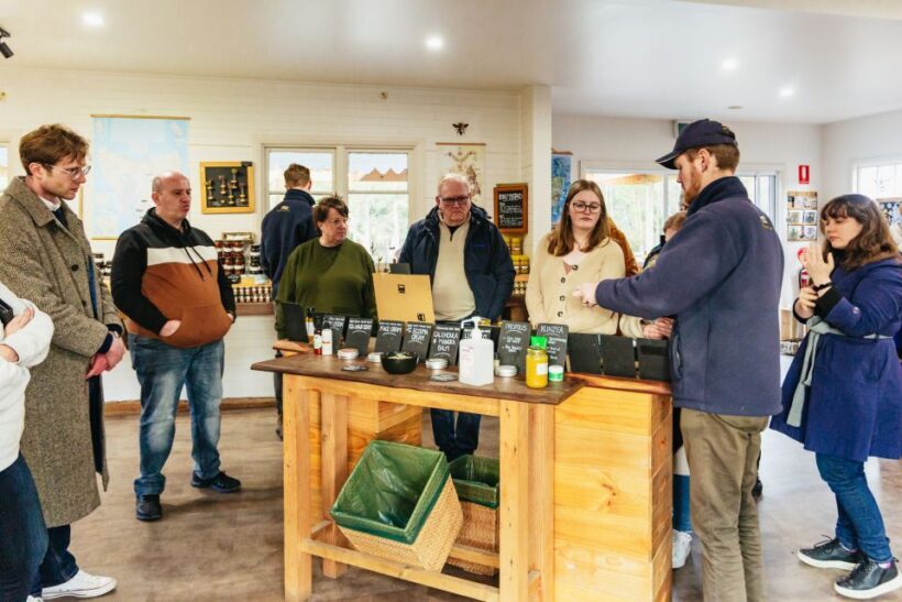 Hobart: Bruny Island Gourmet Sightseeing Day Tour - A Full Breakdown of the Experience