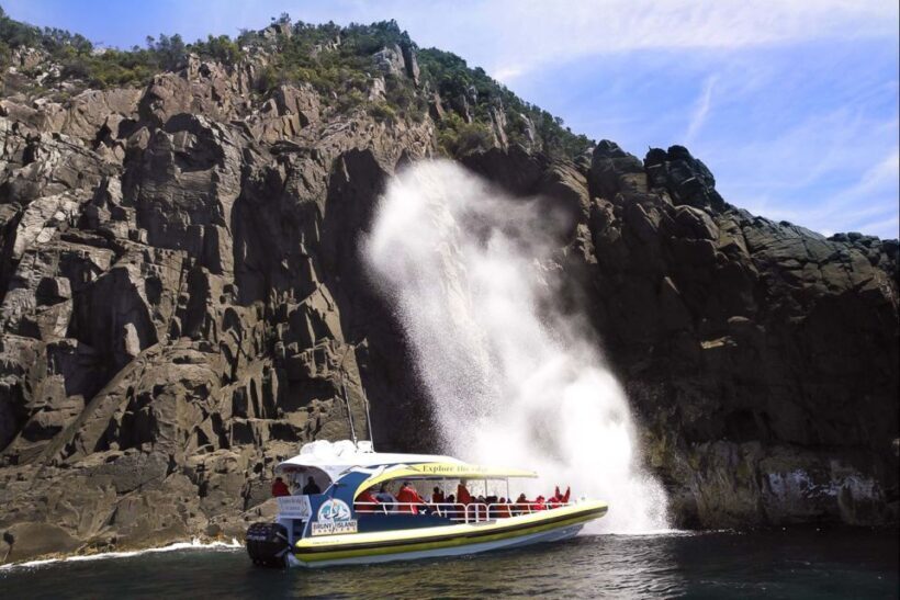 Hobart: Bruny Island Wilderness Coast Eco Cruise with Lunch - Key Points