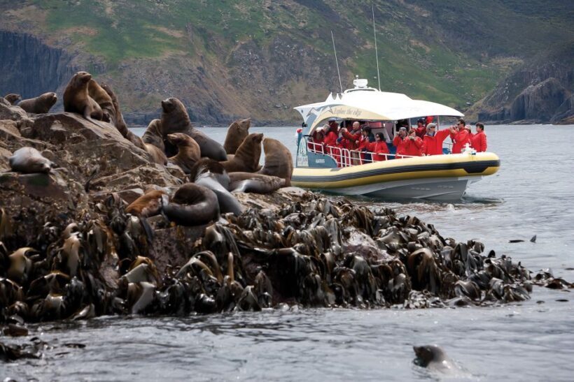 Hobart: Bruny Island Wilderness Coast Eco Cruise with Lunch - A Deep Dive into the Experience