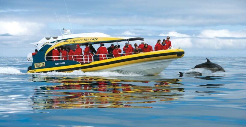 Hobart: Bruny Island Wilderness Coast Eco Cruise with Lunch - The Sum Up — Is It Worth It?