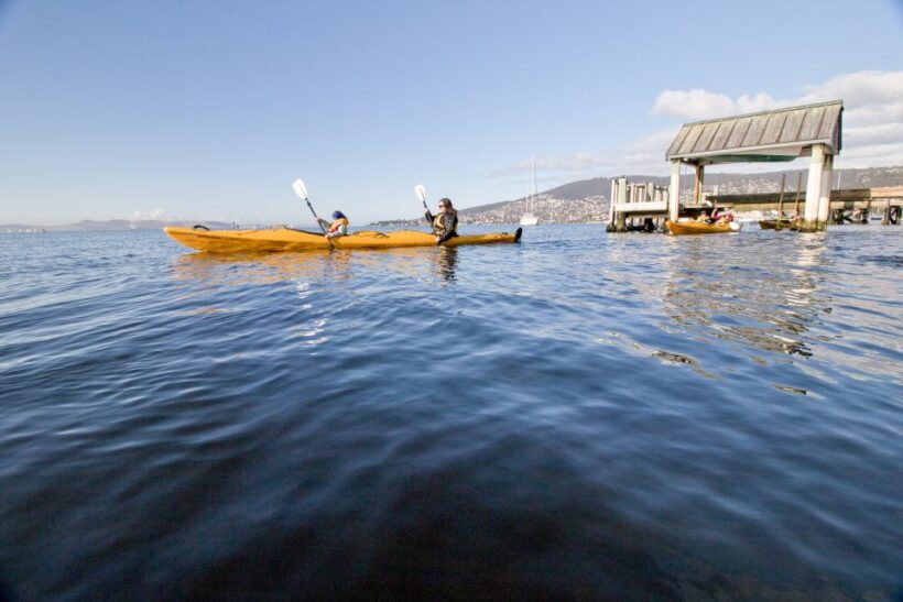 Hobart City 2.5-Hour Kayak Tour - What to Expect During Your Kayaking Adventure