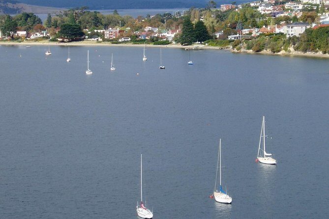 Hobart City Flight Including Mt Wellington and Derwent River - The Value of the Experience