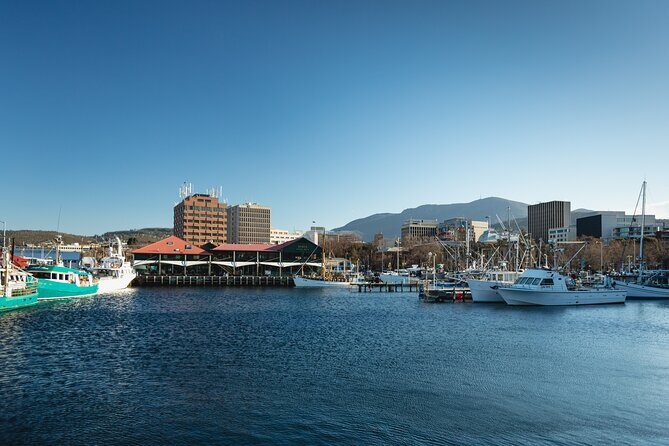 Hobart City Sightseeing Tour including MONA Admission - A Full-Day Journey Through Hobart: City, River, and Art