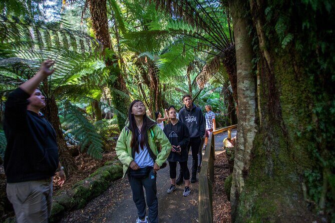 Hobart Cruise Ship Tour Mt Field National Park and Wildlife - Exploring Tasmania’s Wilderness: A Detailed Look at the Hobart Cruise Ship Tour to Mt. Field and Wildlife