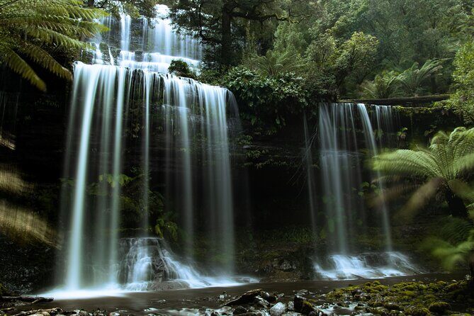 Hobart Cruise Ship Tour Mt Field National Park and Wildlife - Final Thoughts: Who Will Love This Tour?