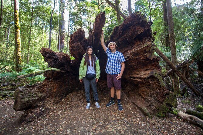 Hobart Cruise Ship Tour Mt Field National Park and Wildlife - Frequently Asked Questions
