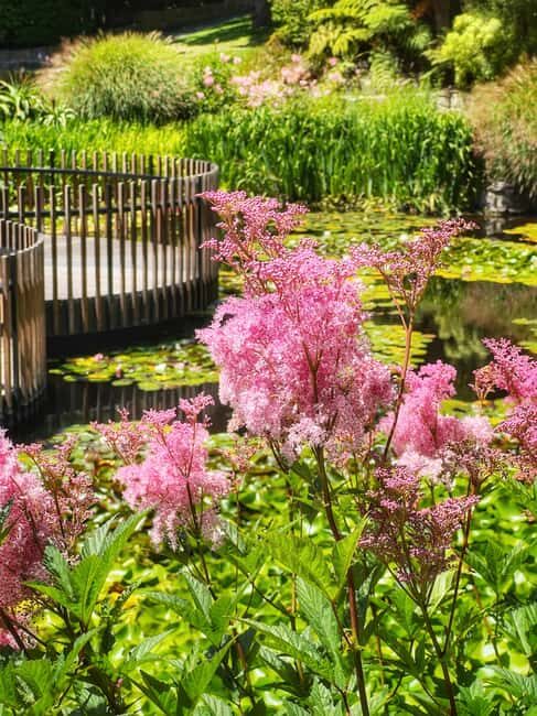 Hobart: Full-Day Bonorong Wildlife Sanctuary & Richmond Tour - Key Points