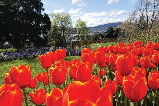 Hobart Half-Day Sightseeing City Tour - An Honest Breakdown of the Itinerary