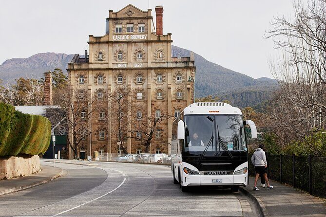 Hobart Half-Day Sightseeing City Tour - Final Thoughts: Who Is This Tour Best For?