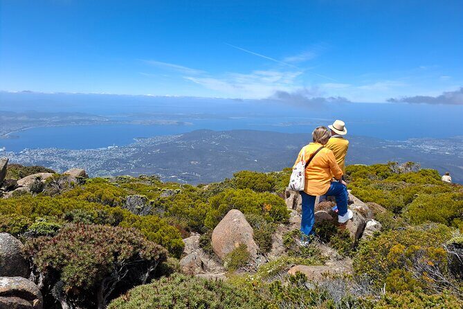 Hobart Highlights and Mount Wellington Shore Excursion - Authentic Perspectives and Traveler Insights