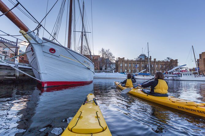 Hobart Kayak Tour - In-Depth Look at the Hobart Kayak Tour Experience