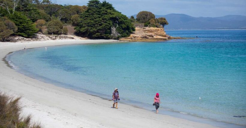 Hobart: Maria Island National Park Active Full-Day Tour - Who Should Consider This Tour?