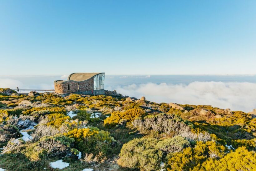 Hobart: Mt Wellington, Mt Field, Bonorong and Richmond Trip - An In-Depth Look at the Hobart Day Trip