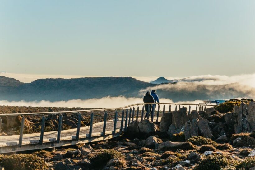 Hobart: Mt Wellington, Mt Field, Bonorong and Richmond Trip - Who Should Take This Tour?