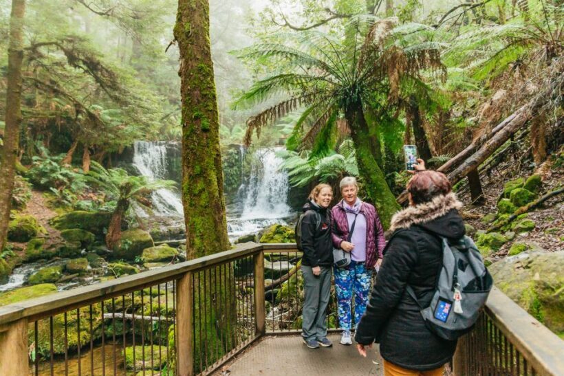 Hobart: Mt Wellington, Mt Field, Bonorong and Richmond Trip - FAQ: Your Questions Answered