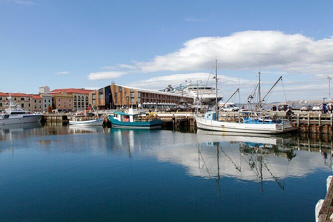 Hobart Shore Excursion: Hobart Attractions Bus - The Guides and Commentary