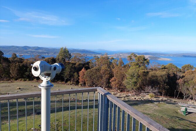 Hobart Shore Excursion: Hobart Attractions Bus - Logistics and Practicalities