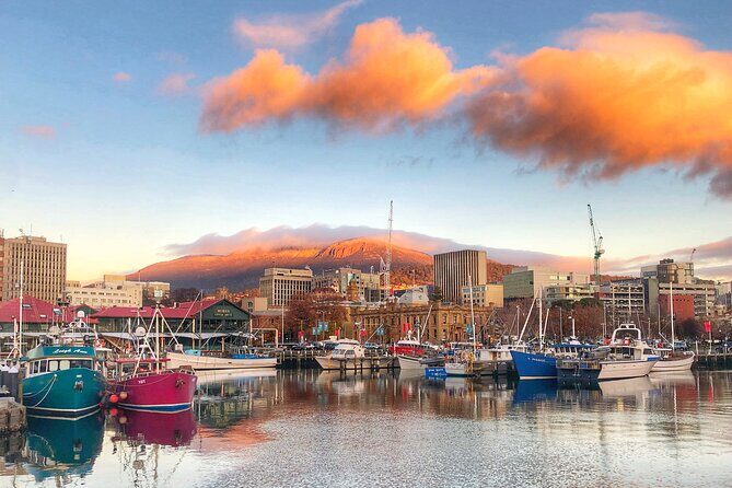 Hobart Shore Excursion- Open Top City Explorer Tour 9.30am - Passing Hobart’s CBD and Landmarks